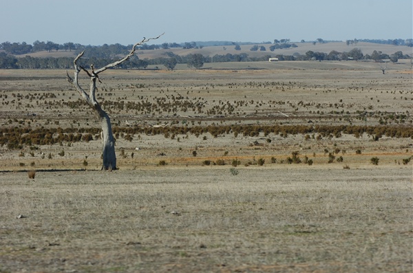 Drought finally over in central Victoria | Bendigo Advertiser | Bendigo ...